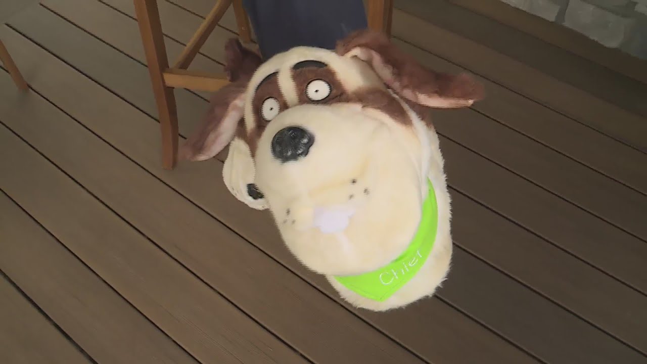 New animated series 'Housebroken' premieres tonight on FOX - YouTube