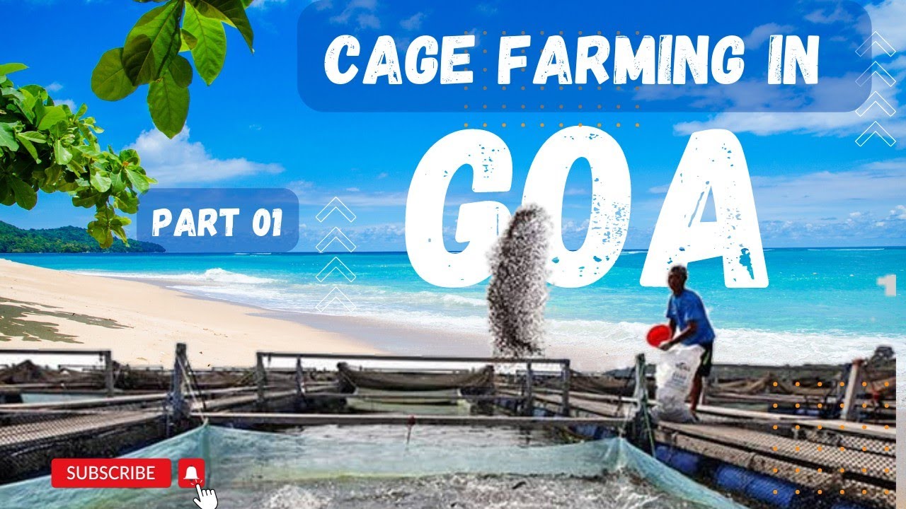 Integrated farming in Goa cage for fish and duck shelter - YouTube