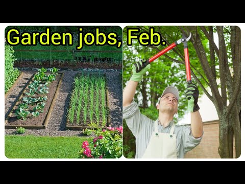 What to do in your garden and plants in February 2023