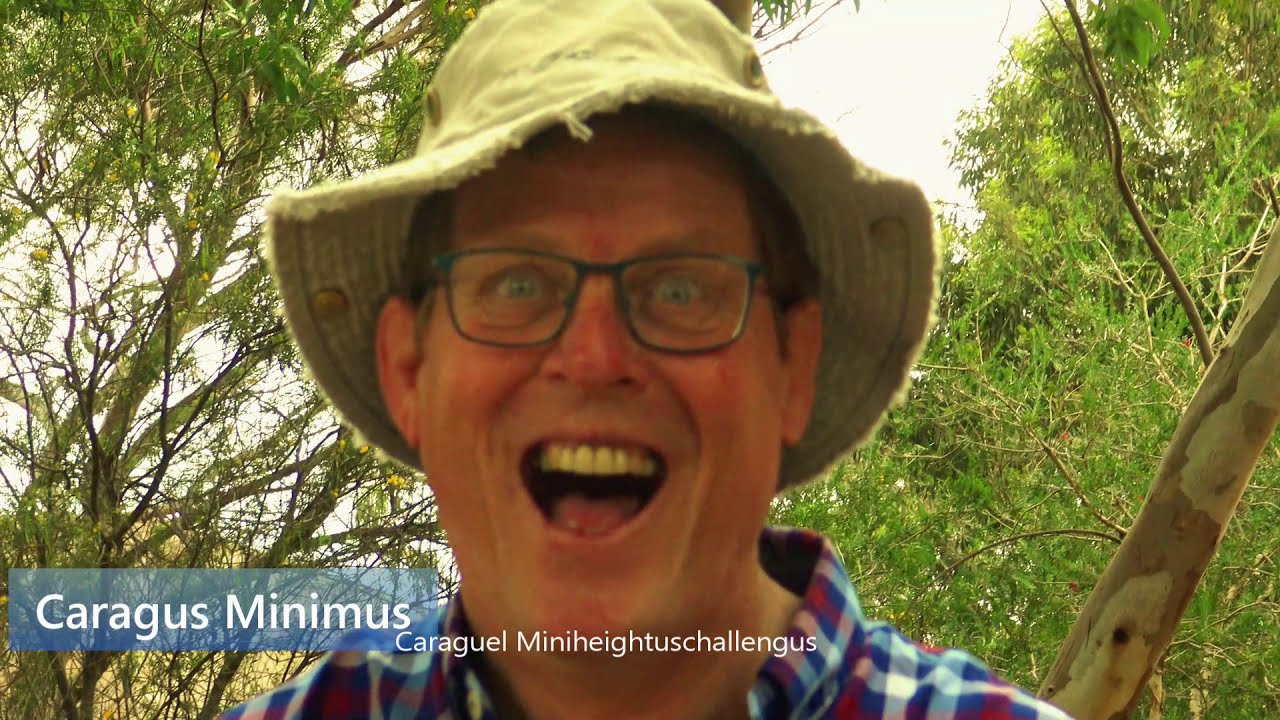 2020 in "Africa", Adelaide Uni - Roseworthy Campus students embark on a ...