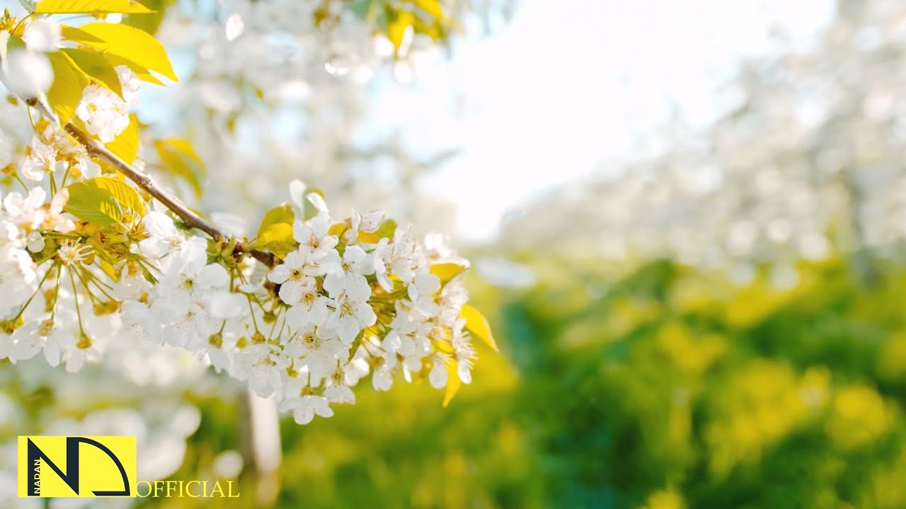 기분좋은 하루를 위한 음악 모음 💖 스트레스 해소음악 잔잔한 피아노 연주곡 기분전환 편안한 감성 피아노곡 잠깨는 공부음악
