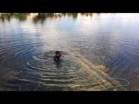 BBTS Black Water Diving, Cleaning and Polishing Irrigation Intake Screens