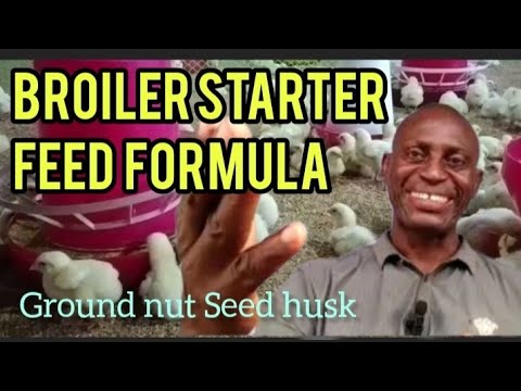"How I Formulated Broiler Starter Feed with Groundnut Seed Husk and ...