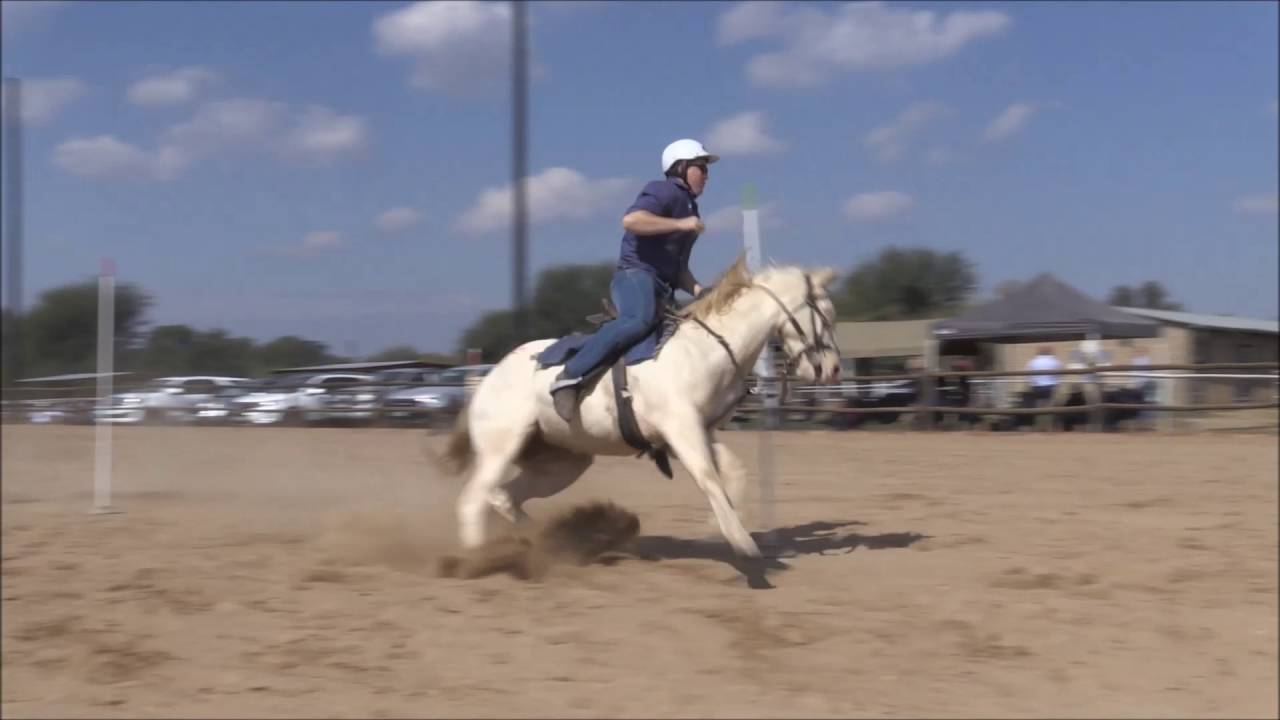 Western Mounted Games - Mav Gillespie and Silver Waltz - YouTube