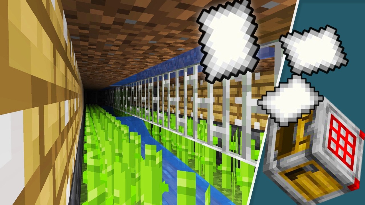 Infinite Sugarcane / Automatic Paper Farm For Minecraft 1.21 - YouTube