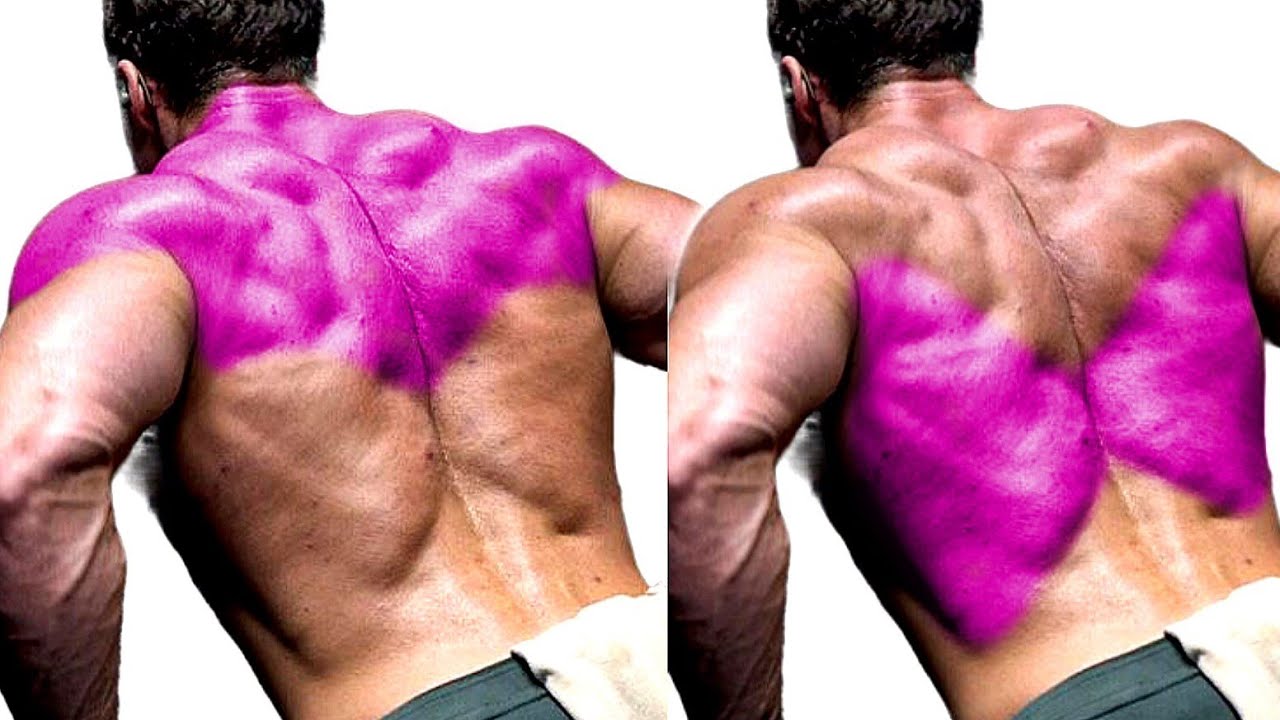 7 Top Back Exercises Gym to Build Upper Middle and Bigger Lats Fast ...