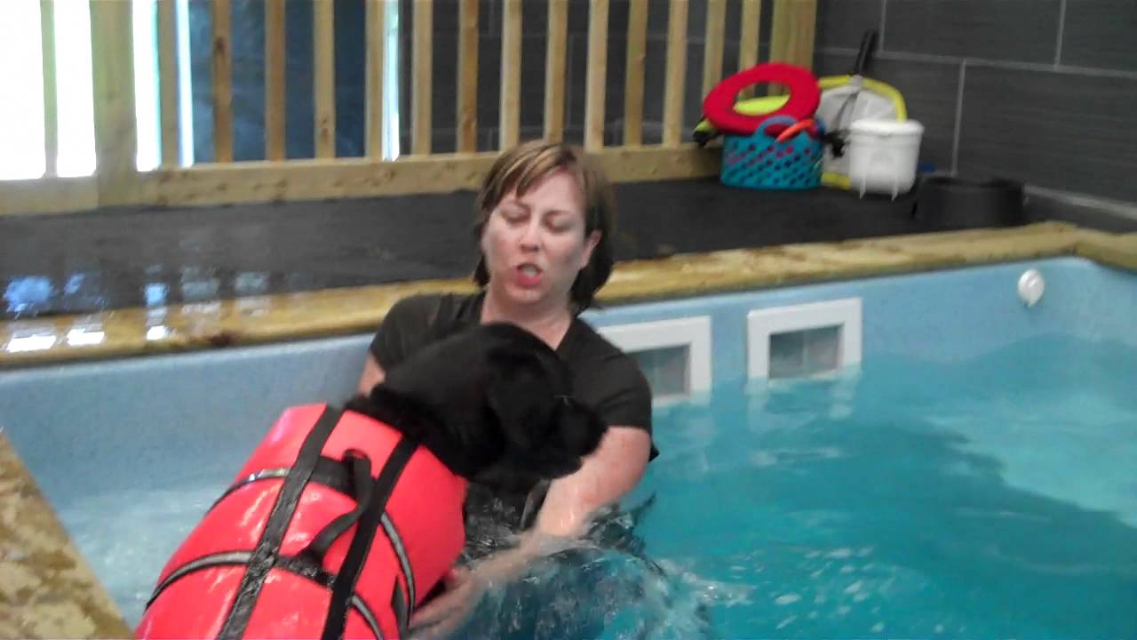 Paws Swim Therapy - Livy - YouTube