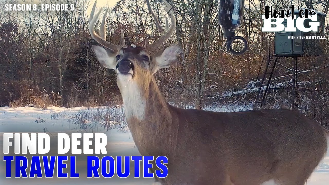 Locate Deer Travel Patterns in an Easy, Unique Way - YouTube