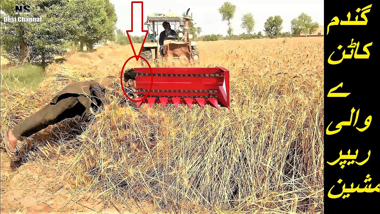 Wheat rapper harvester machine!wheat cutting machine with tractor - YouTube