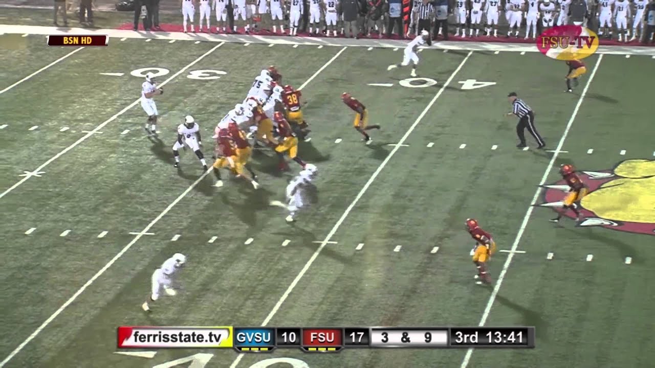 Carlton Johnson Ferris State Football Highlights (2013) - YouTube