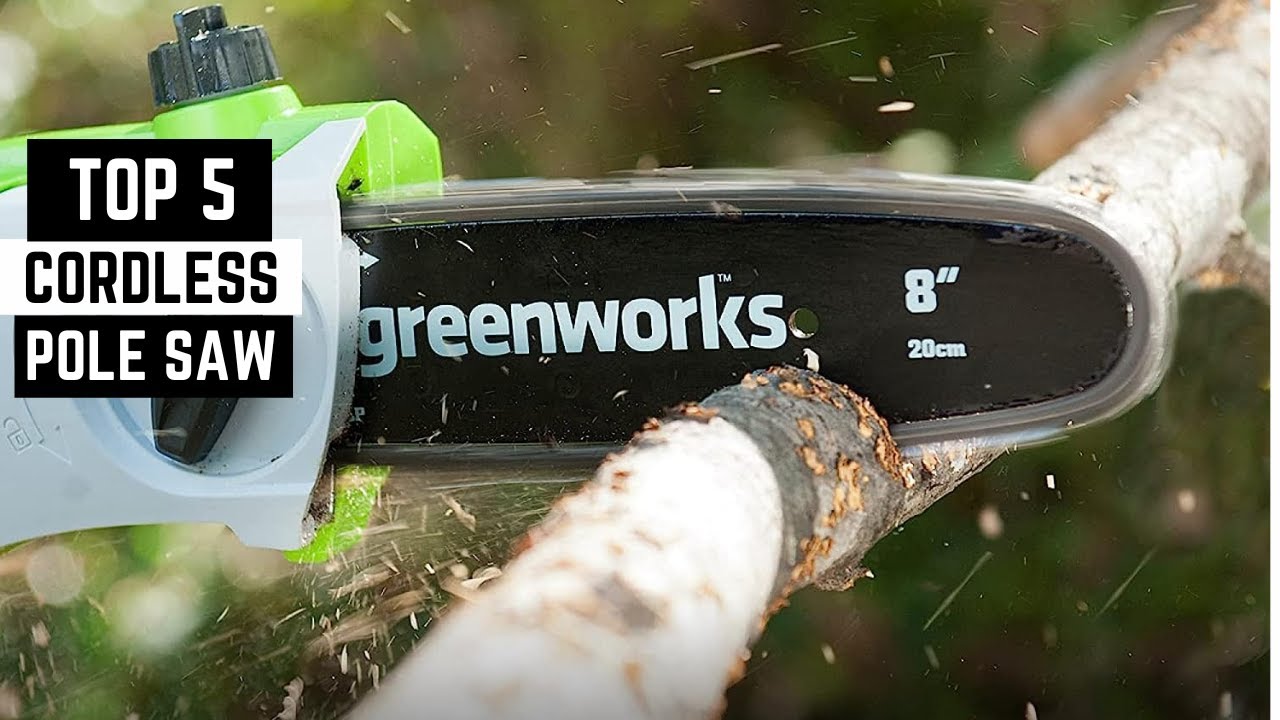 Top 5 Best Cordless Pole Saws for Trimming Trees and Bushes | Chainsaw ...