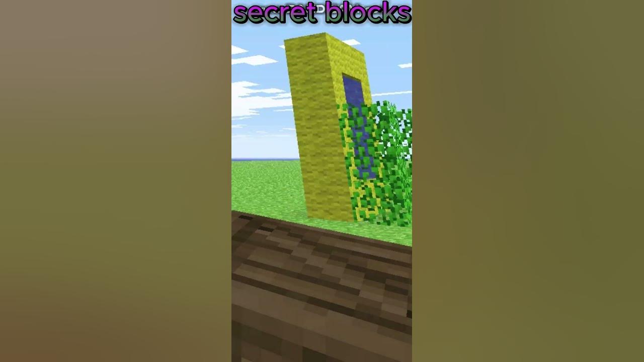 minecraft secret blocks - YouTube