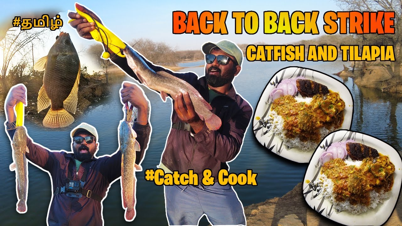 Catch and cook | Meesai meen and Jilebi | Tamil vlog | Allan trips ...