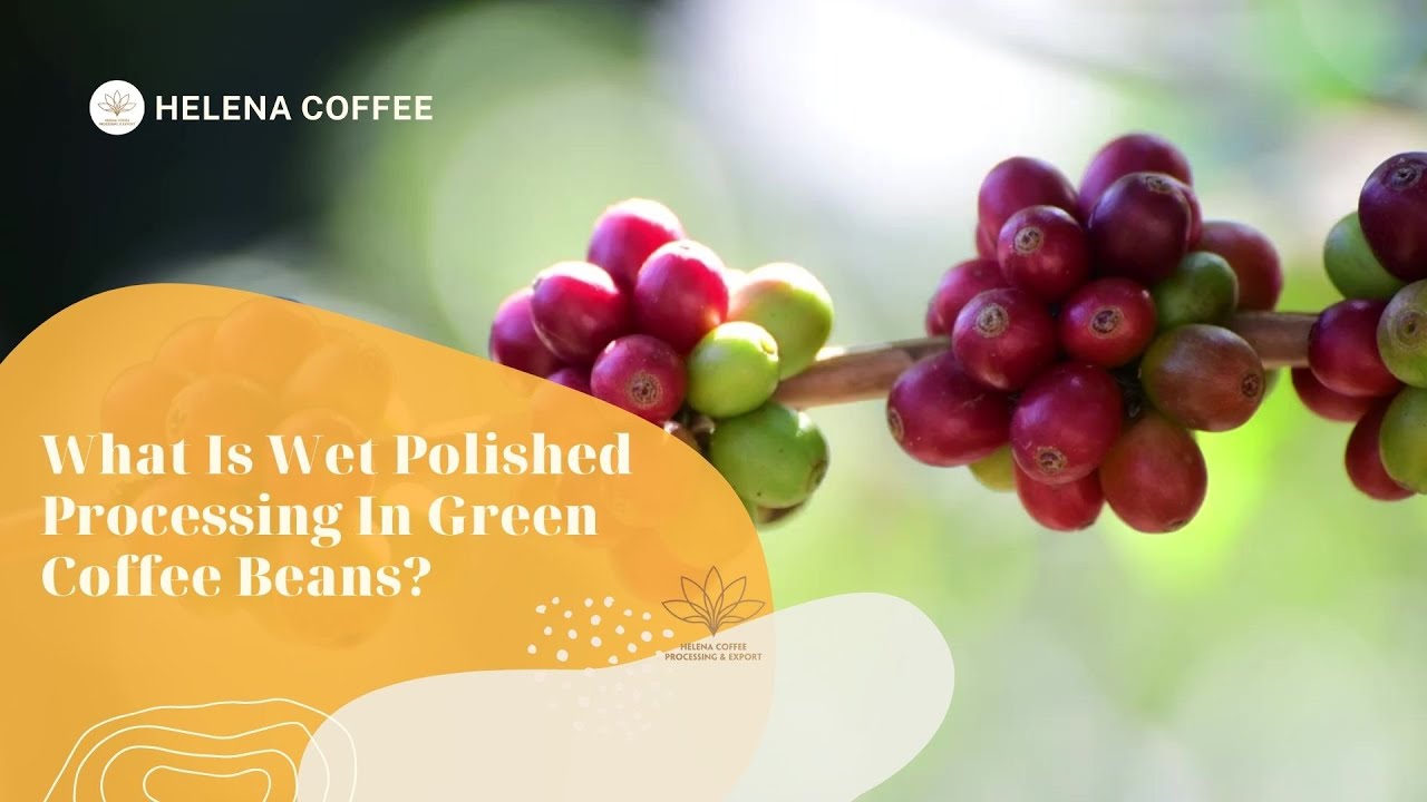 What Is Wet Polished Processing In Green Coffee Beans? - YouTube