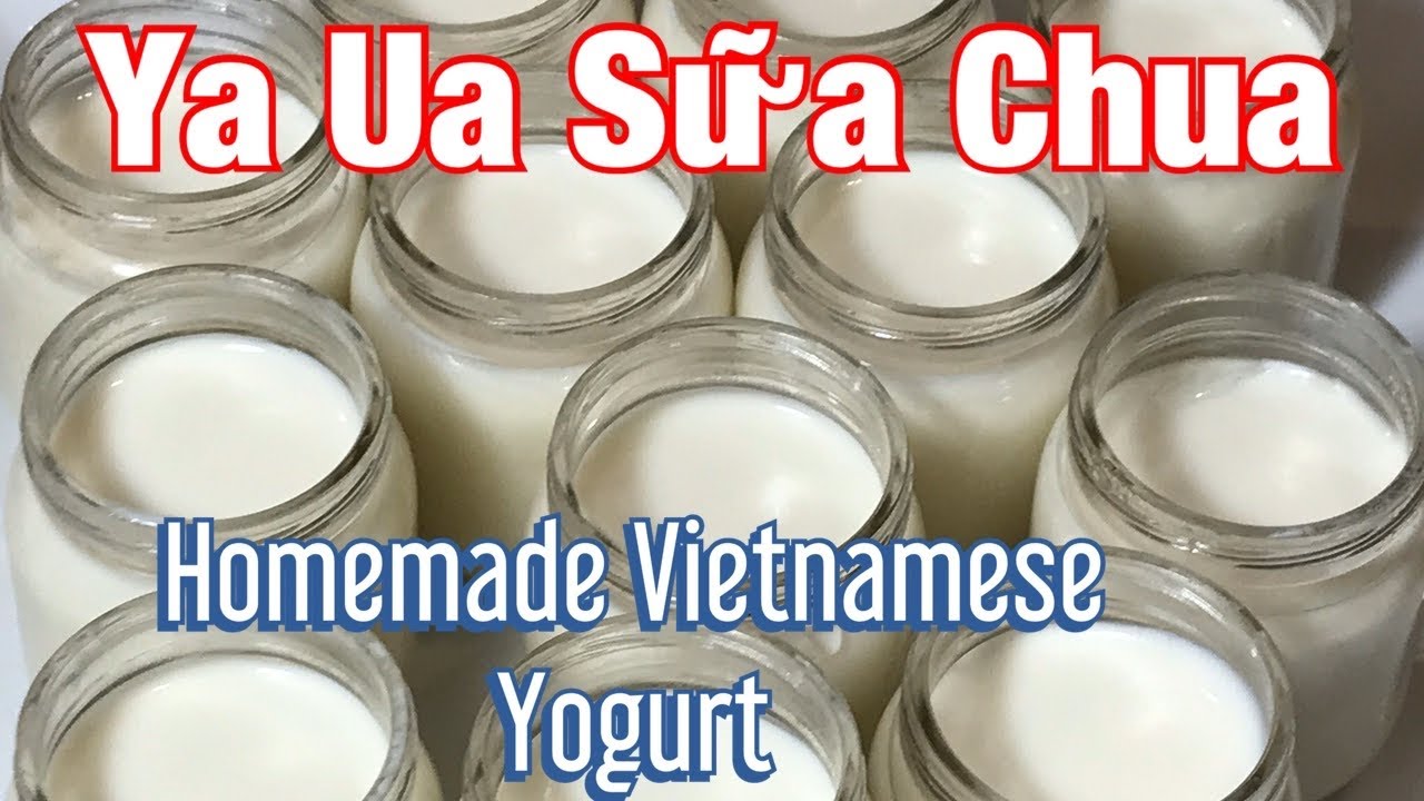 VIETNAMESE HOMEMADE YOGURT (SỮA CHUA YA UA MỊN BÉO NGON) - YouTube