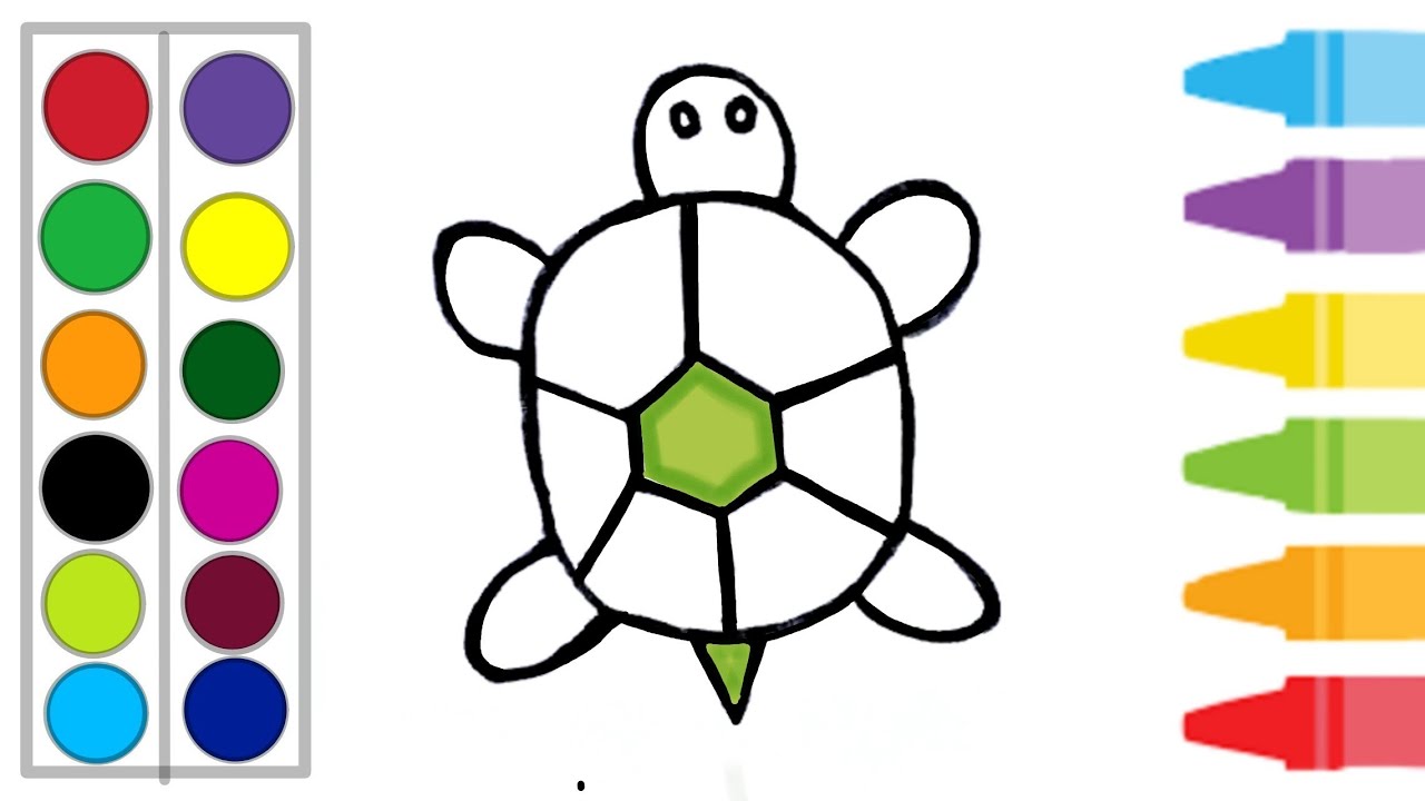 How to colour tortoise drawing with pencil colour - YouTube