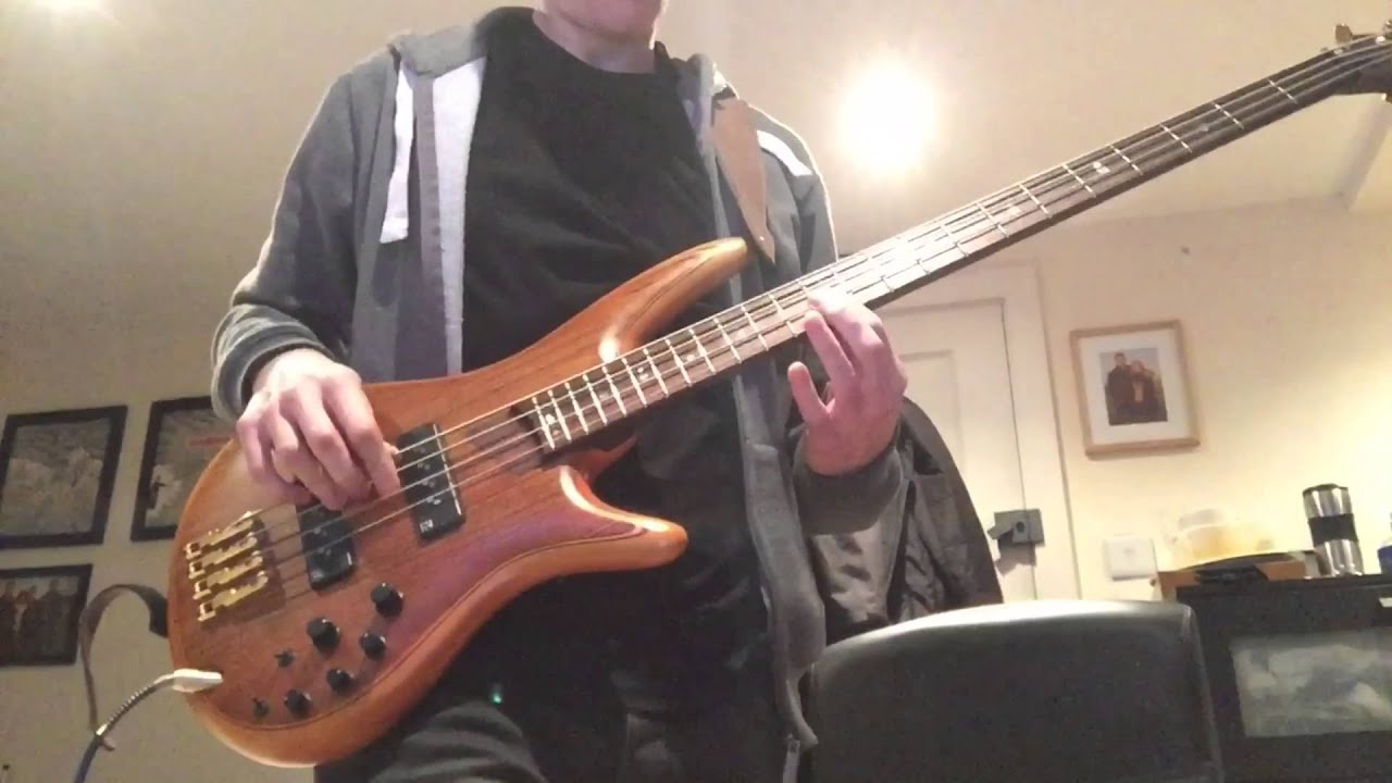 PLUG IN BABY BASS COVER - MUSE - *FULL EFFECTS* - YouTube