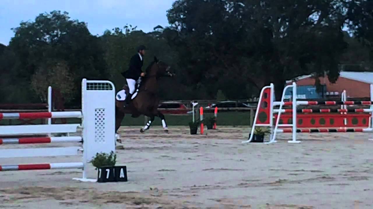 Shane Rose and Moritz showjump at Albury.MOV - YouTube