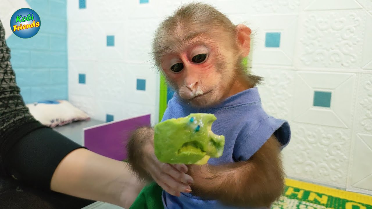 Kobi monkey first time eating avocado mixed yogurt - YouTube