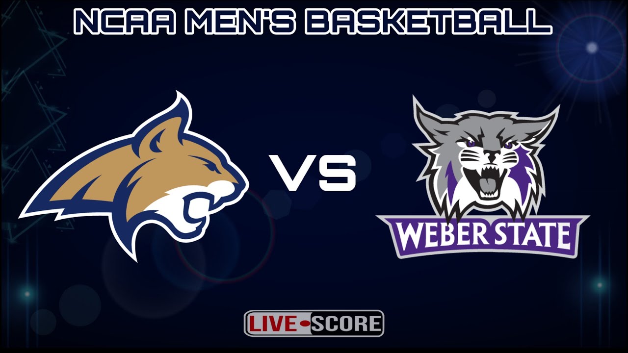 Weber State Wildcats vs Montana State Bobcats | NCAA Men's Basketball ...
