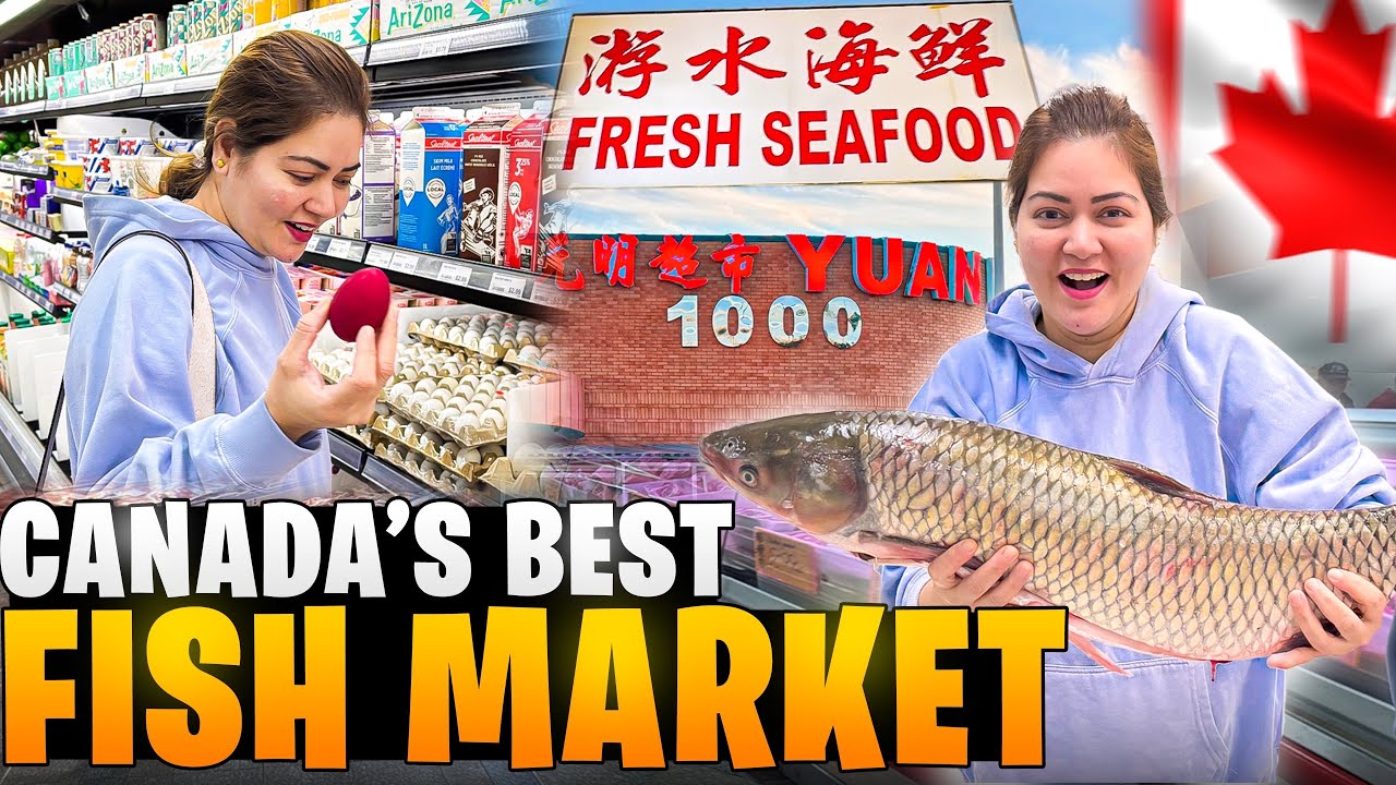 Best Fish 🐟 Market In Canada 🇨🇦 | Fresh Fish Always - YouTube
