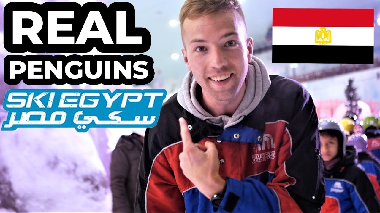 SNOW AND PENGUINS IN EGYPT | Ski Egypt | الثلج و بطريق في مصر - YouTube