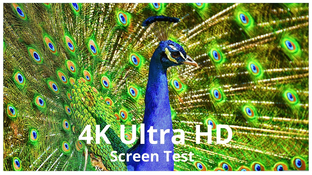 🌍 4K Ultra HD Screen Test - Stunning Details That Redefine Perfection ...