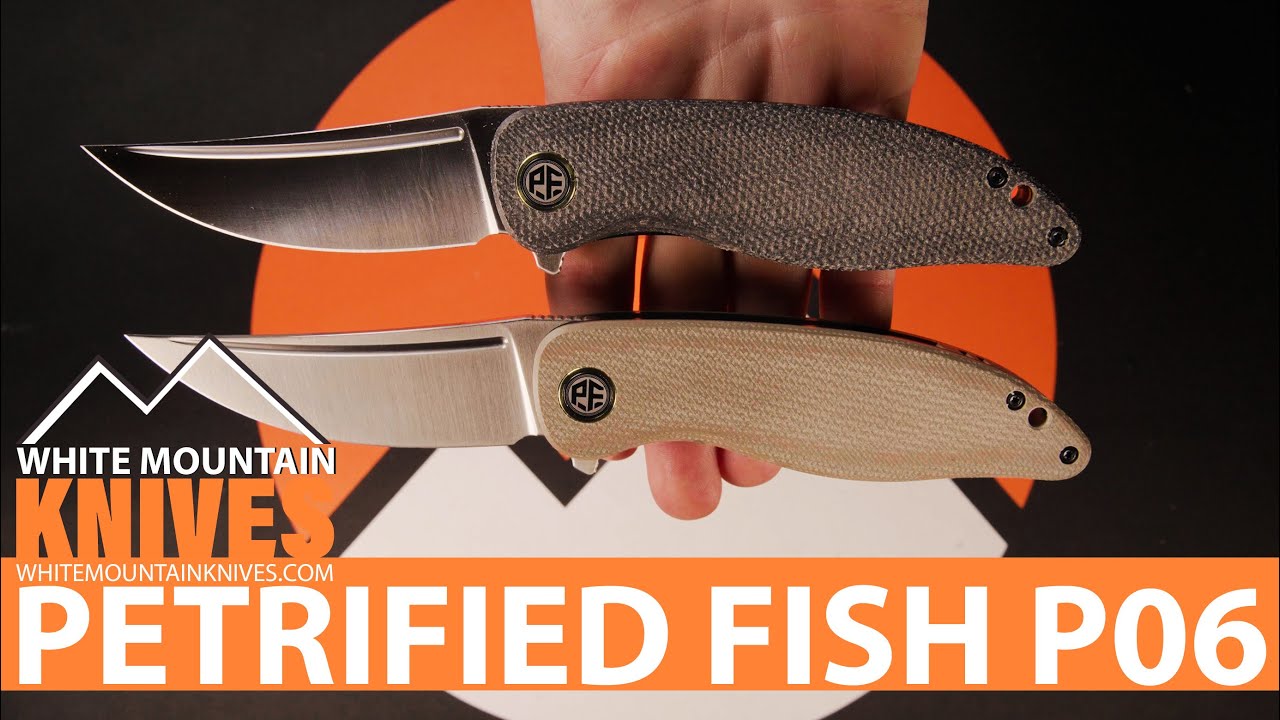 Petrified Fish PF 06 Folding Knife - Quick Look - YouTube