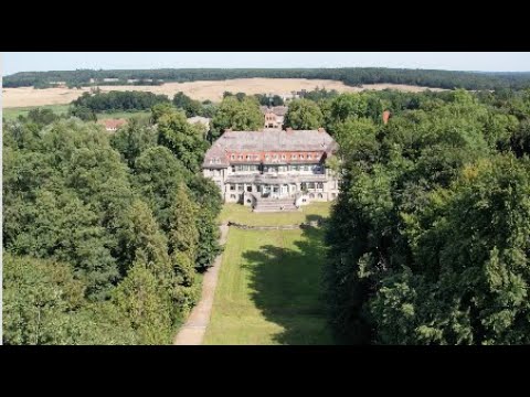 Traumhafte Ausstellung: Alexander Dettmar im Jagdschloss Bellin - YouTube