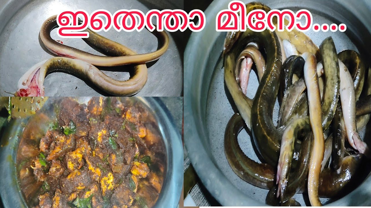 fish fry//nedumeen fry//thottumeem fry//varal fry//nadan recipe - YouTube