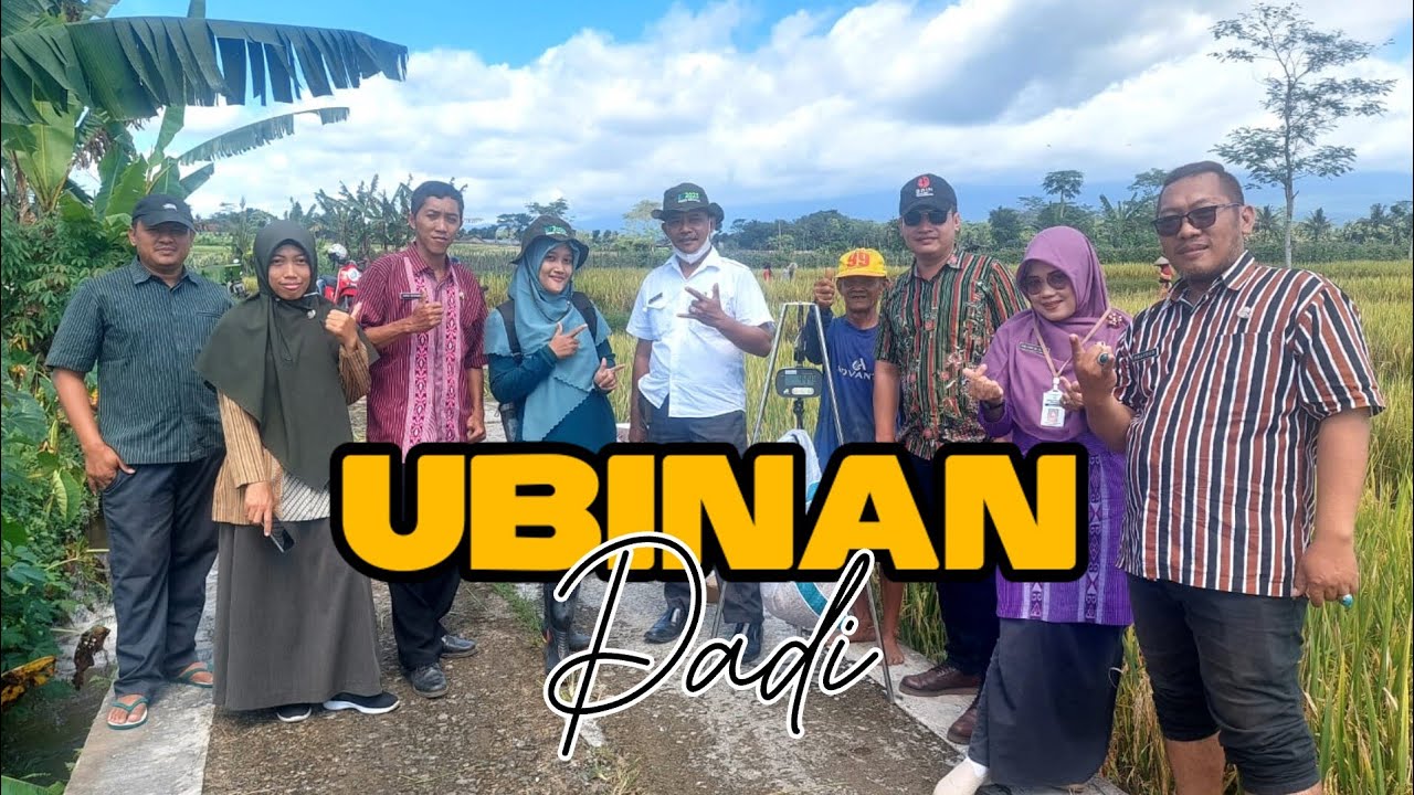 Ubinan padi subround 1 di Desa Beji - YouTube