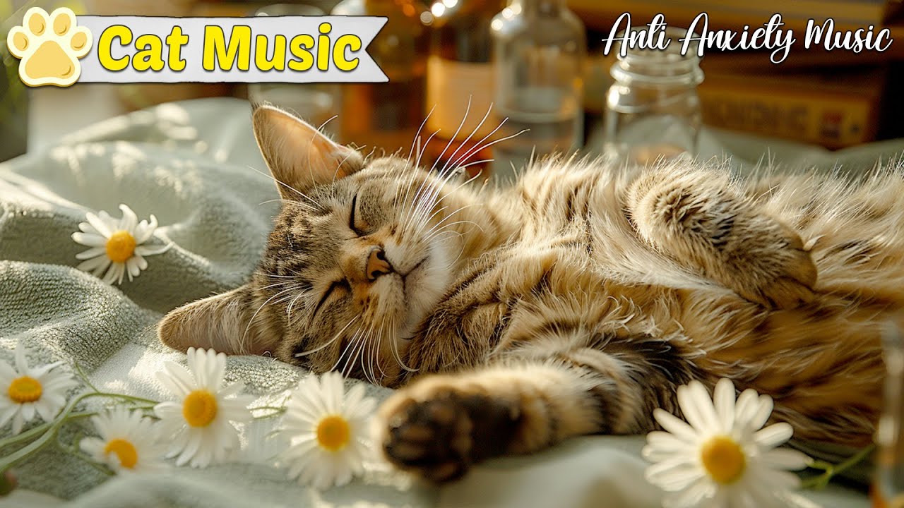 Deeply soothing music for cats ♬ Music for a Happy Cat - Calming Sounds ...