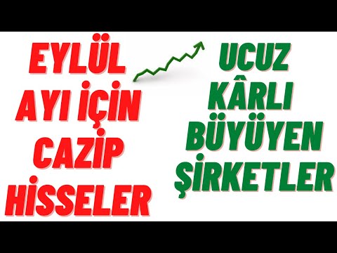 Eylül Ayı Cazip Hisseleri ( Ucuz Kalmış - Kârlı - Hızlı Büyüyen )