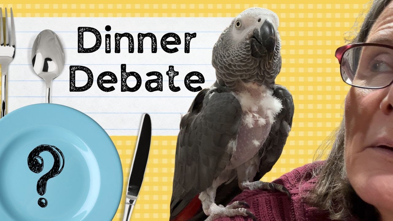 Einstein’s Dinner Debate: Sweet Talk, Sassy Replies, and a Surprise ...