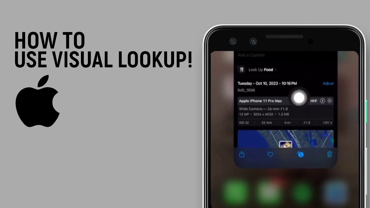 How To Use Visual Lookup On IOS 17 [easy] - YouTube