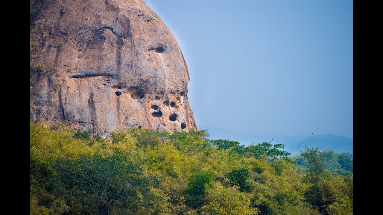 Trek to Ramanagar - YouTube