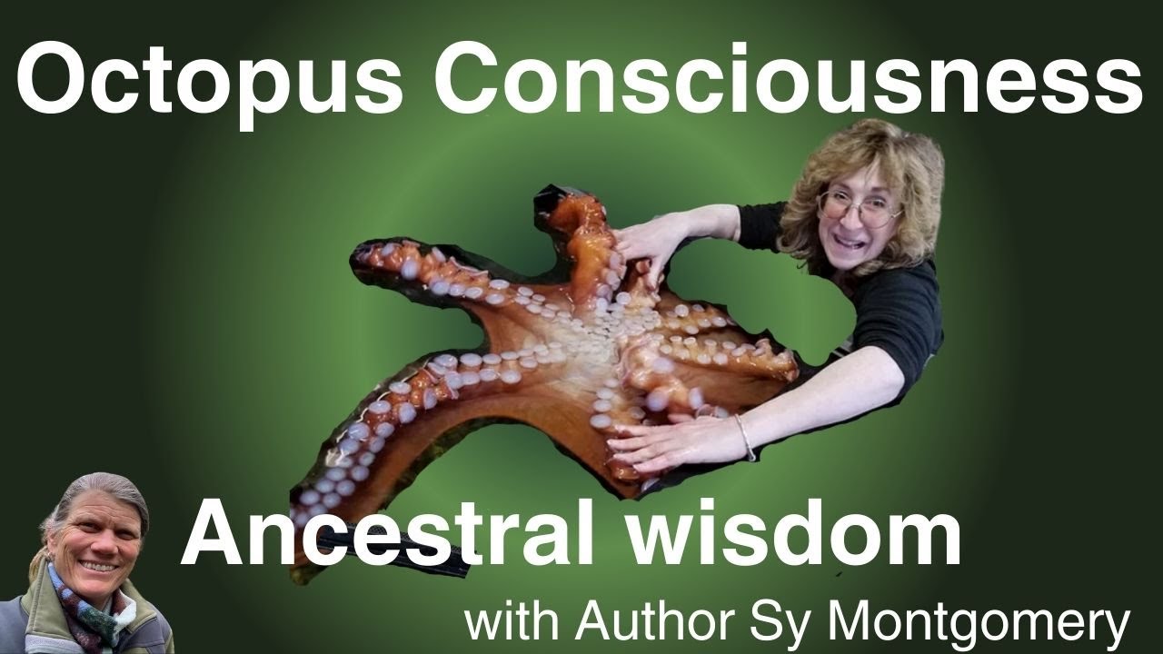 Octopus Consciousness - with Author Sy Montgomery - YouTube
