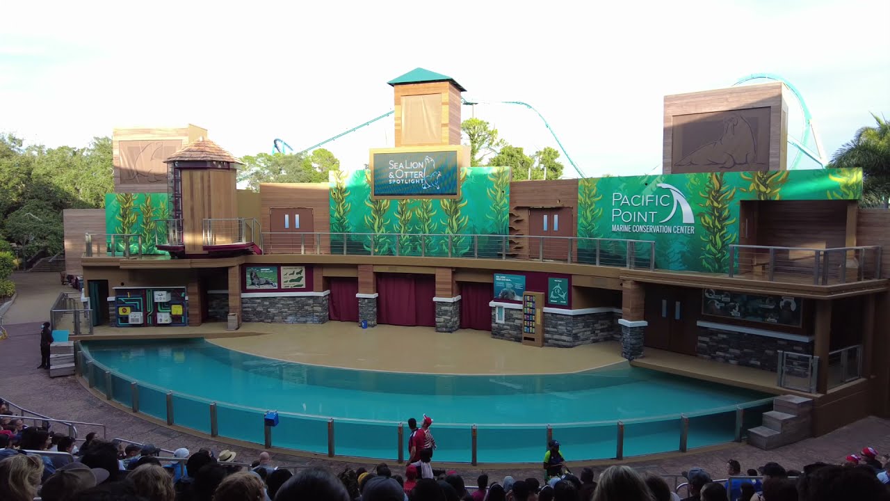 Ben The Seaworld Mime Seaworld Orlando Youtube