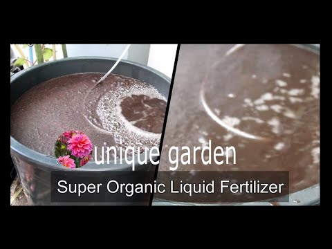 super organic fertilizer#unique garden - YouTube