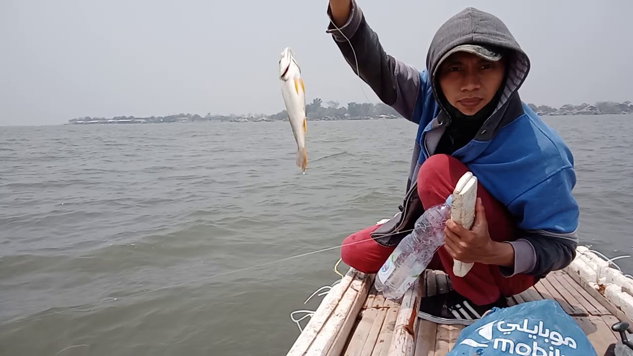 Mancing menggunakan teknik rawai - YouTube