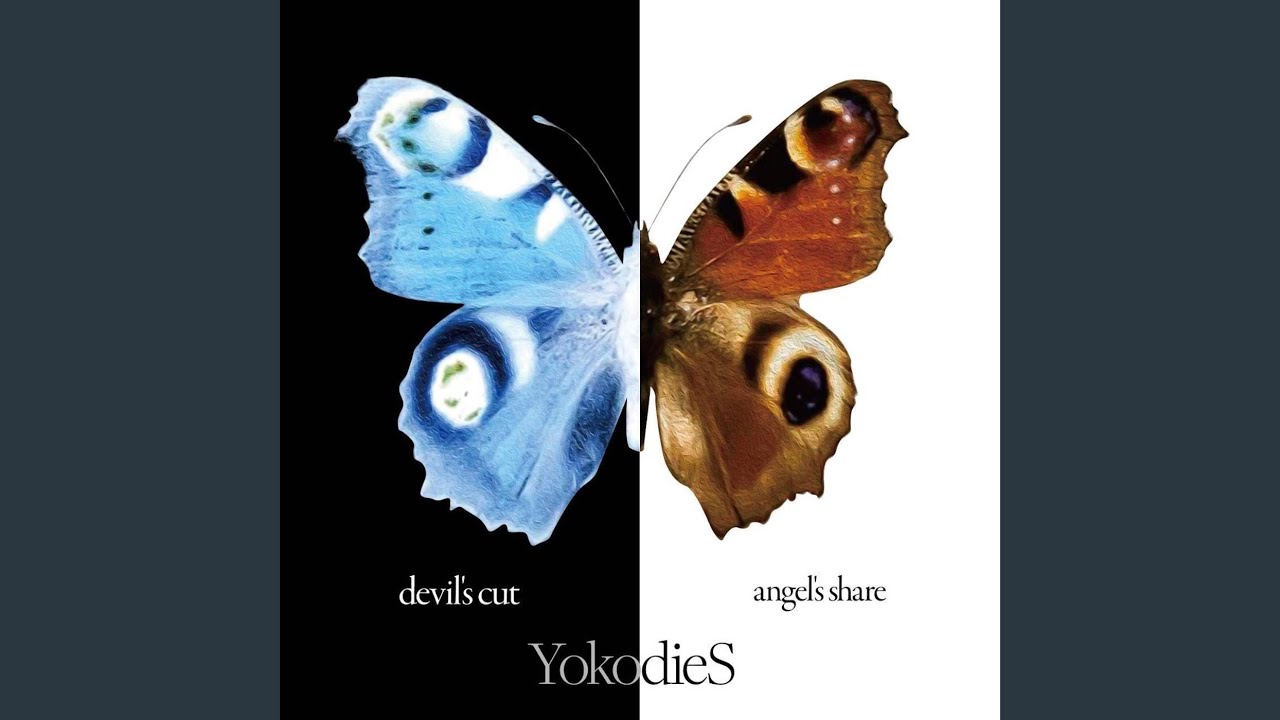 FLY (DEVIL'S CUT ANGEL'S SHARE MIX) - YouTube
