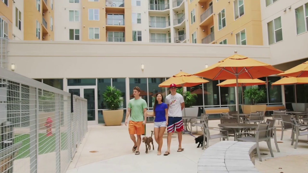 The Standard At Raleigh Bumper 1 - YouTube