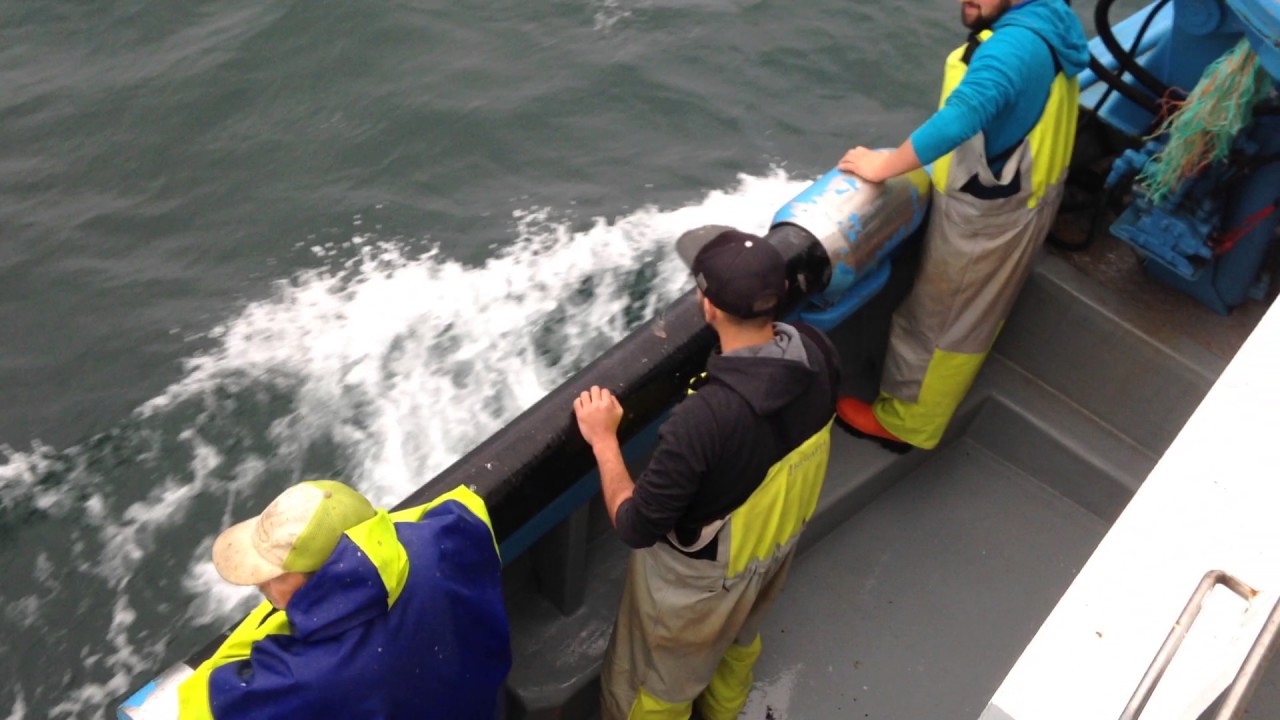 Pesca com Rede de Cerco, embarcação Mar Eterno - YouTube