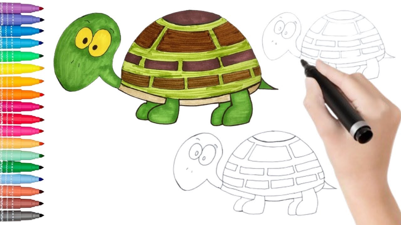 Turtle drawing , painting and coloring for kids.HOW TO DRAW A CUTE ...