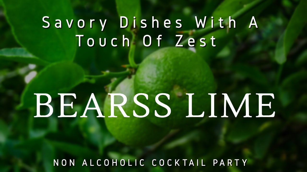 5 Year Old Established ( BEARSS LIME TREE ) ____________________ LOTS AND LOTS OF FRUIT - YouTube