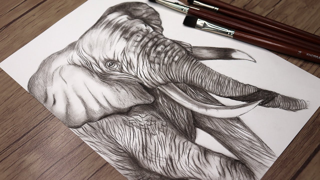 How I Drew the Most Realistic Elephant of My Life - YouTube