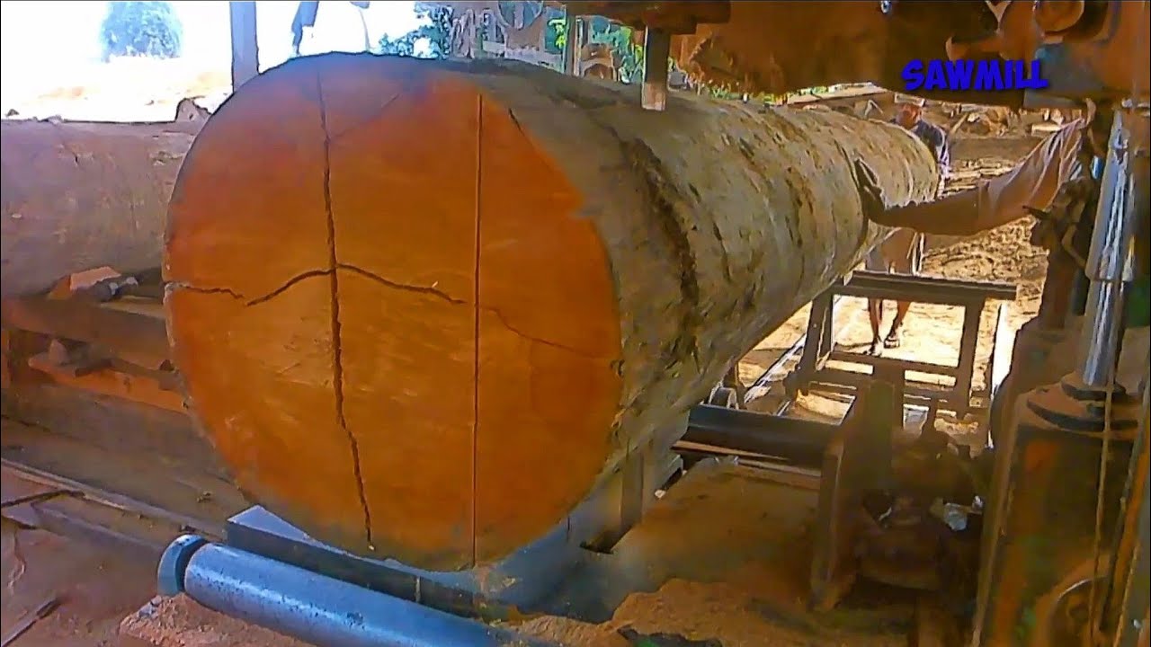 Kayu istimewa! kayu Meranti merah salah satu kayu has Kalimantan ...