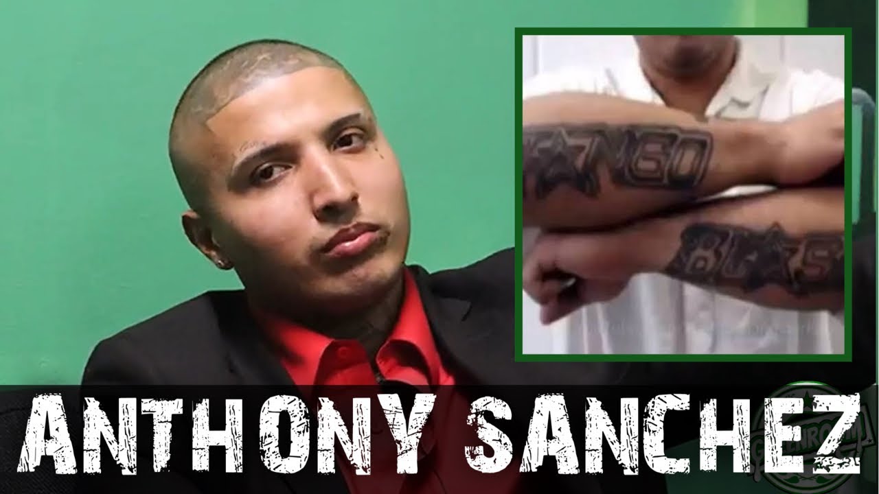 ANTHONY SANCHEZ Explains Why TANGO BLAST Organization Operates Only In ...