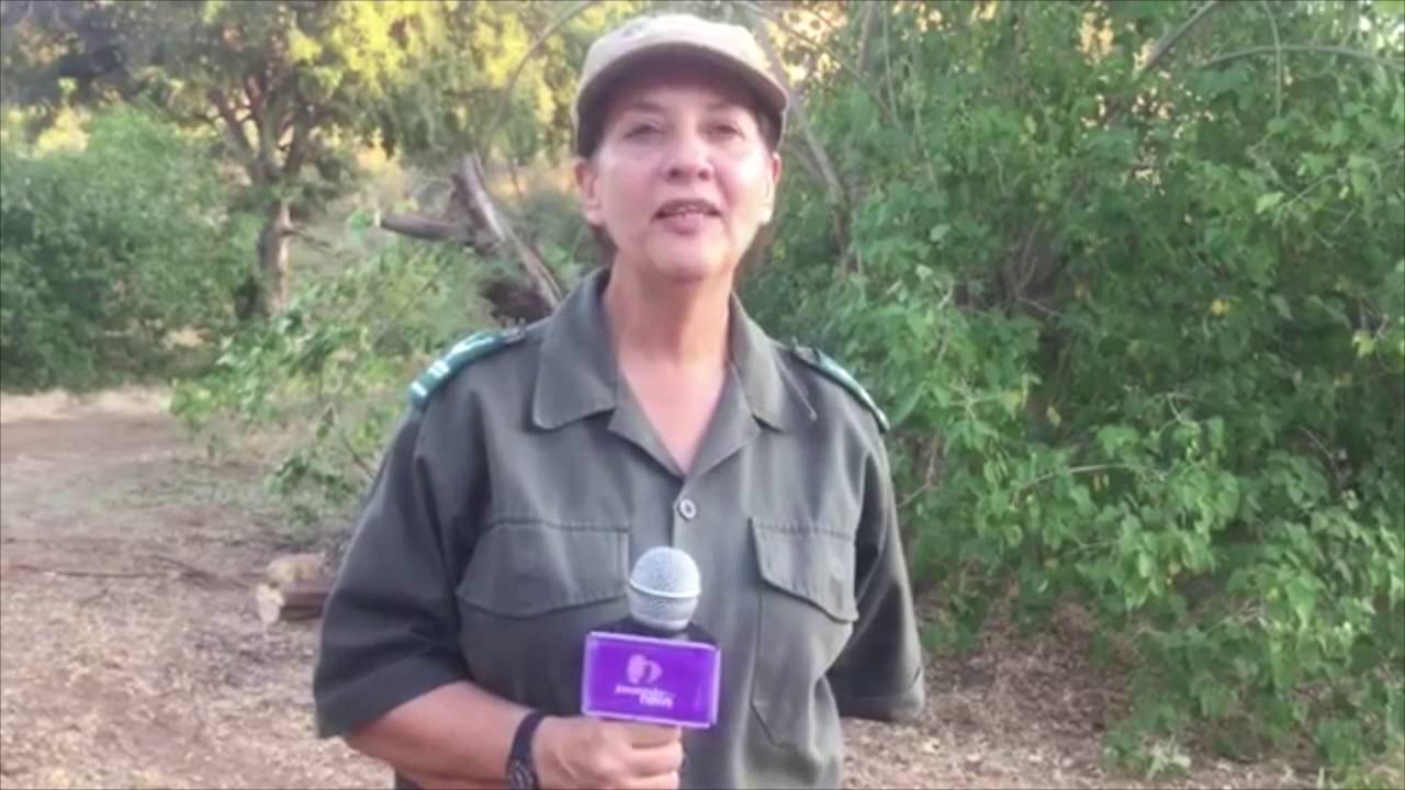 A day in the life of a game ranger - YouTube
