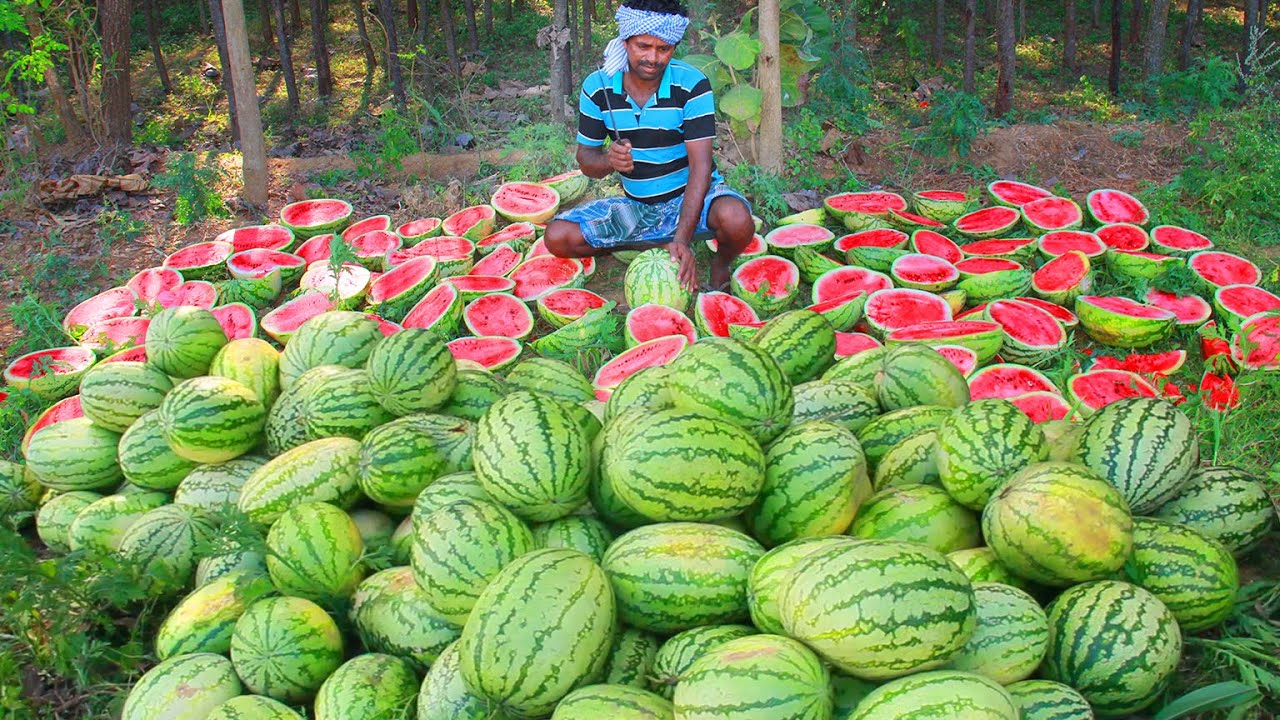 Find WATERMELON in the Village Land Juice Drinking Delicious VILLAGE ...